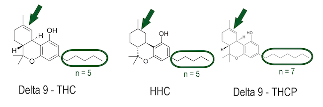 Institut für Hanfanalytik